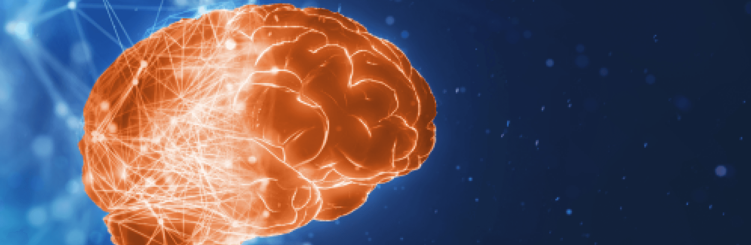 Machine Learning vs Rule-Based Systems - Socure